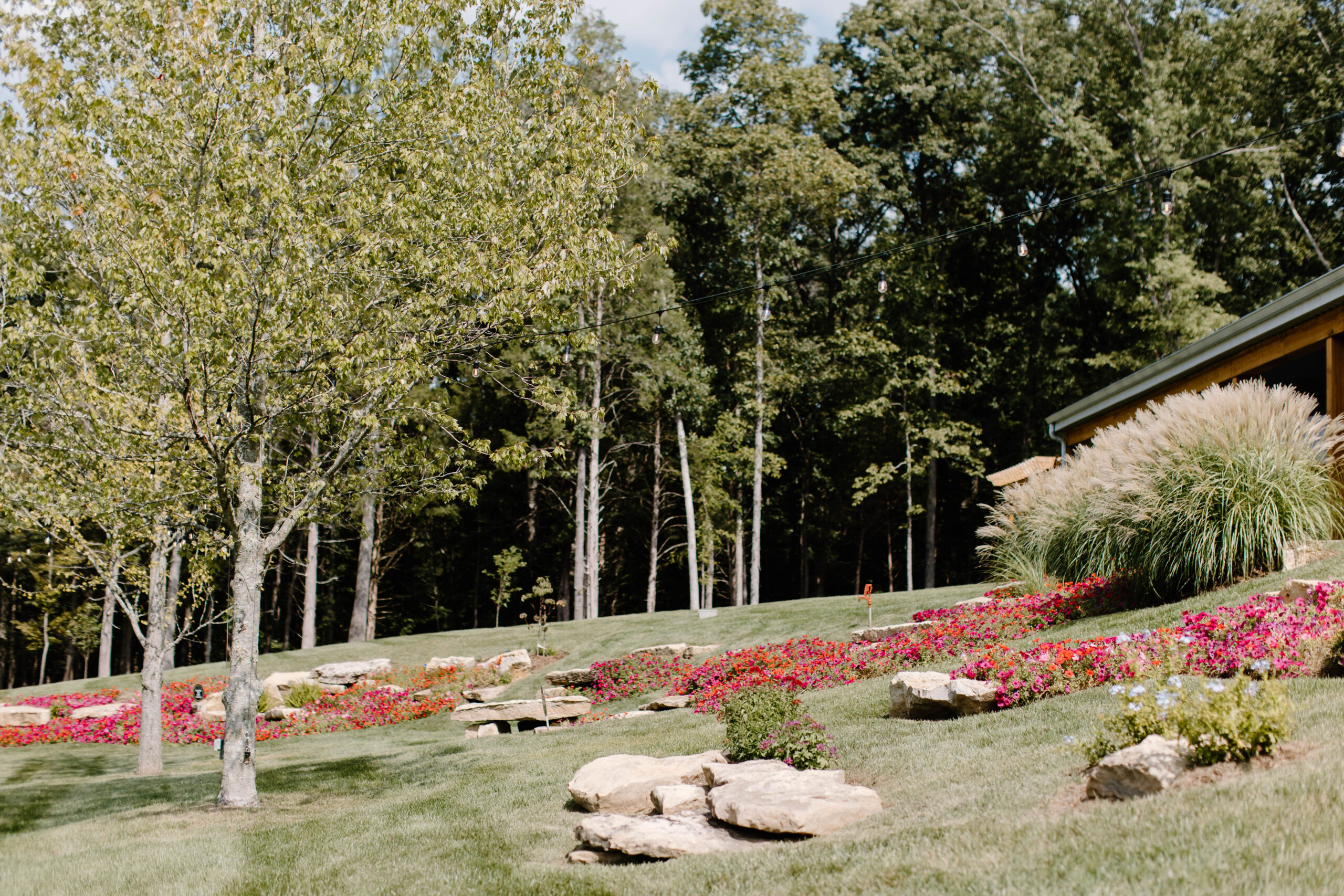 CP3A6549 – The Woods at Cedar Springs